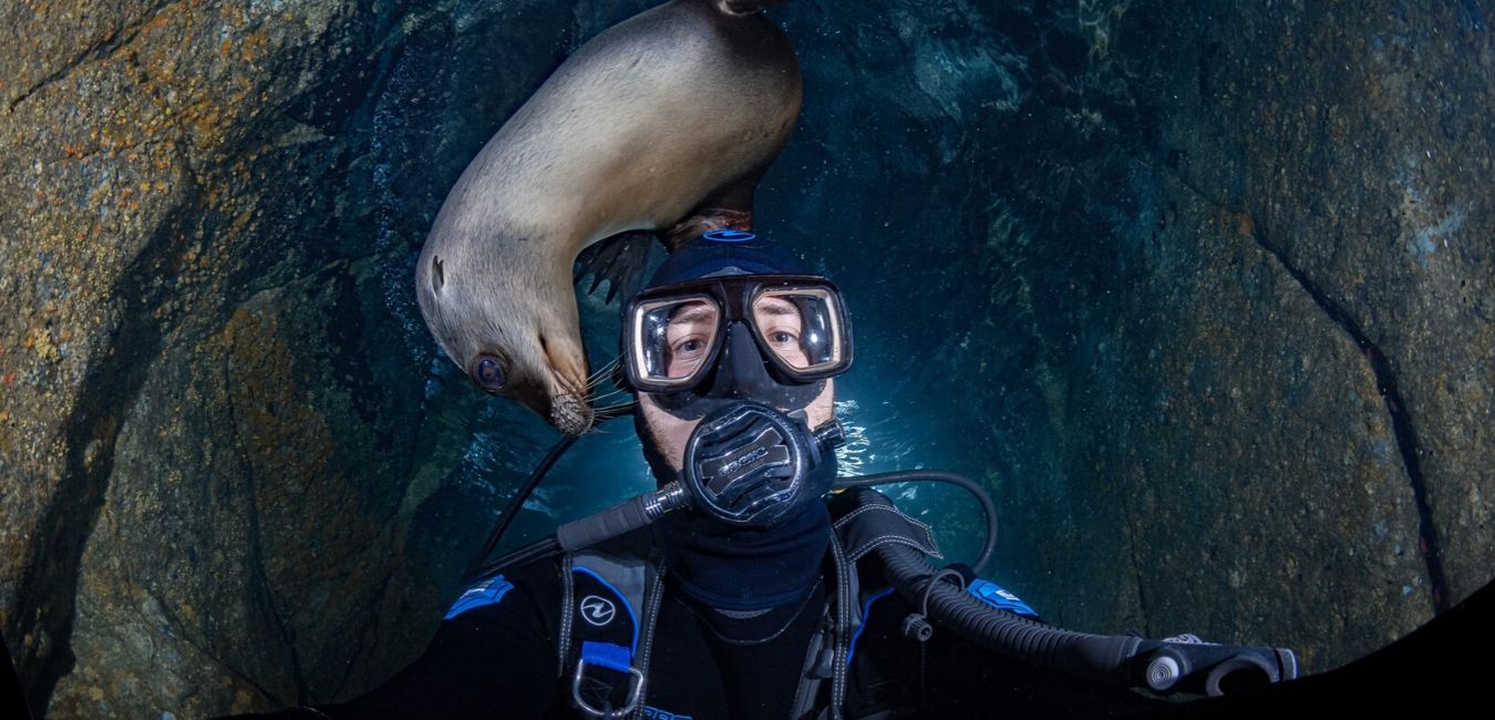 The Cortez Club - World Class Diving