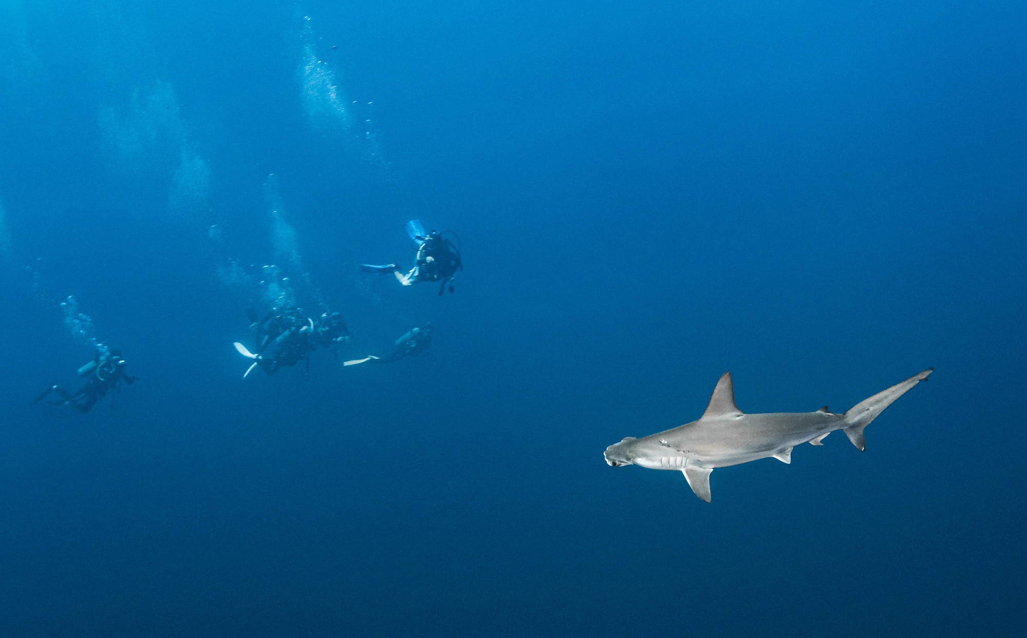 Scuba Diving - The Cortez Club